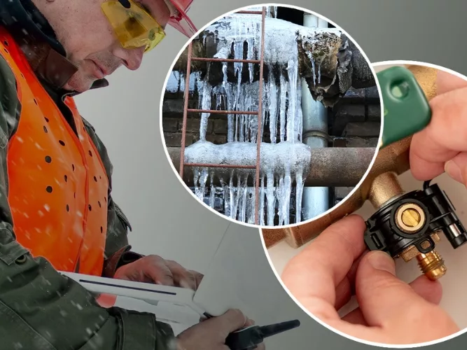 Watts Freeze Sensors | phcppros